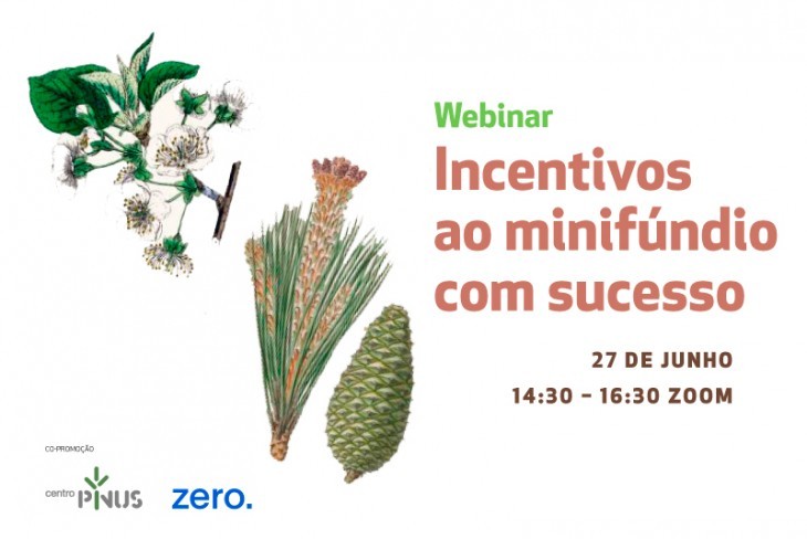 Webinar “Incentivos ao minifúndio com sucesso”